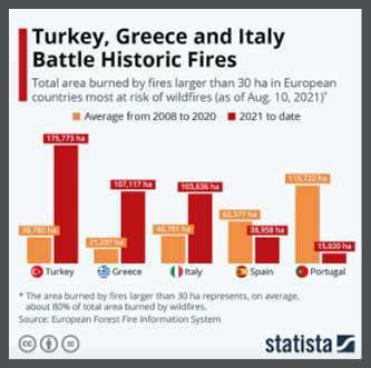 WILDFIRES RAGE ACROSS EUROPE - 4t CONSULTANTS